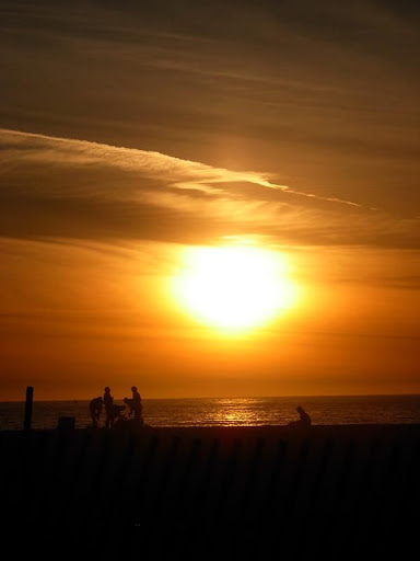 beach – kyoko cole art